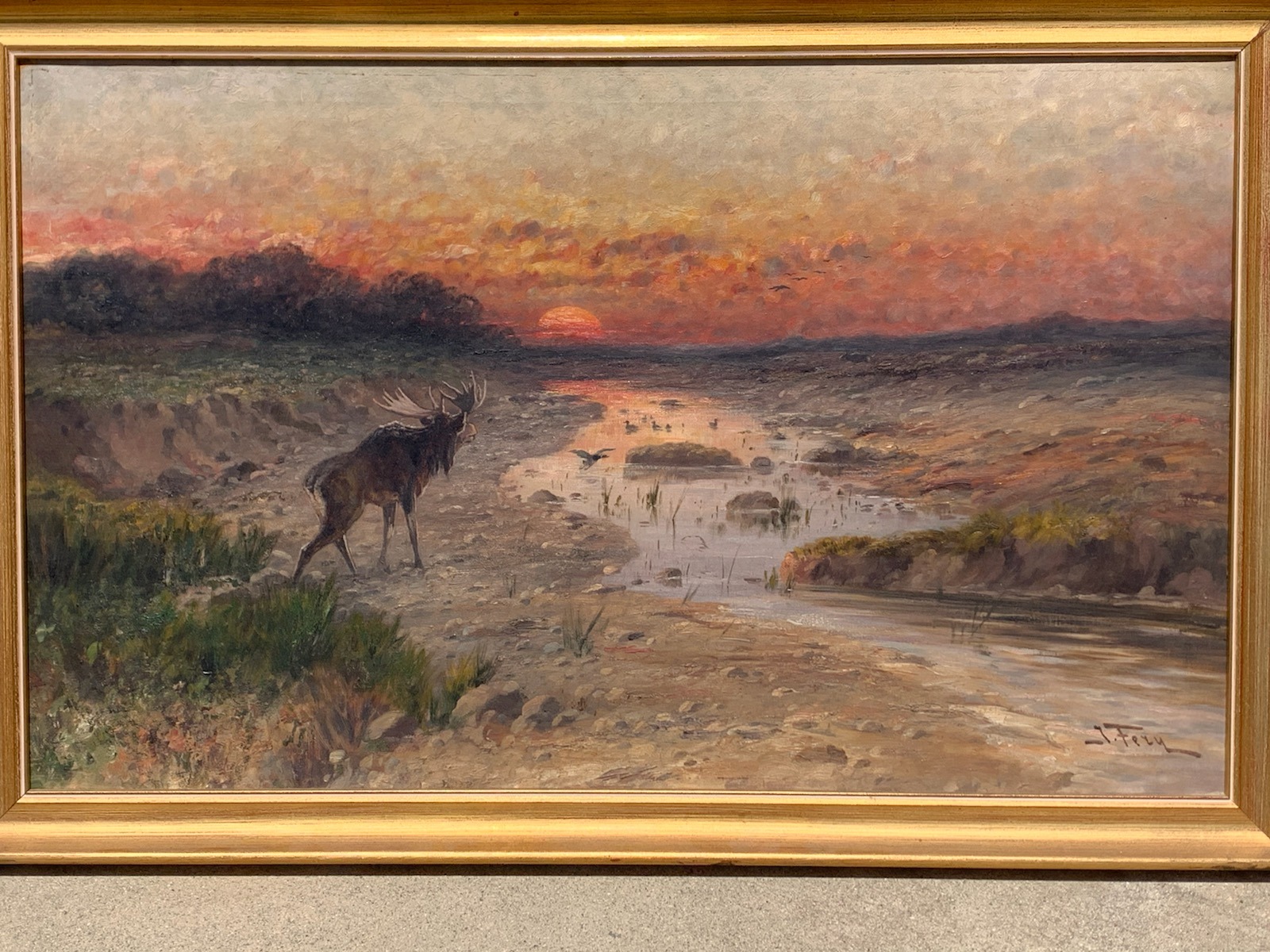 Moose at Sunset – Out of Africa in Montana